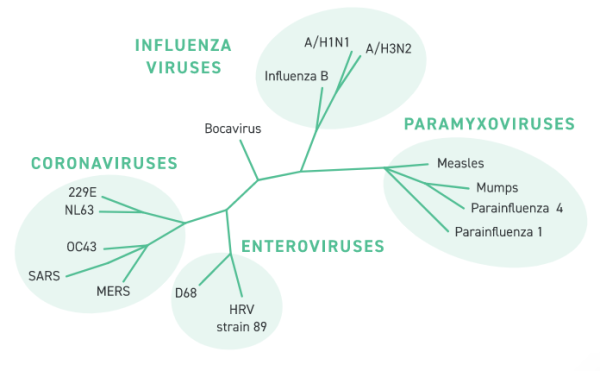 Synthetic Viral Controls - Molecular Biology Products Pakistan